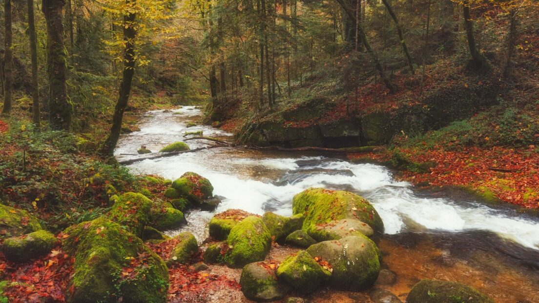 Relaxing Nature Sounds - Forests, Streams & Natural Ambience